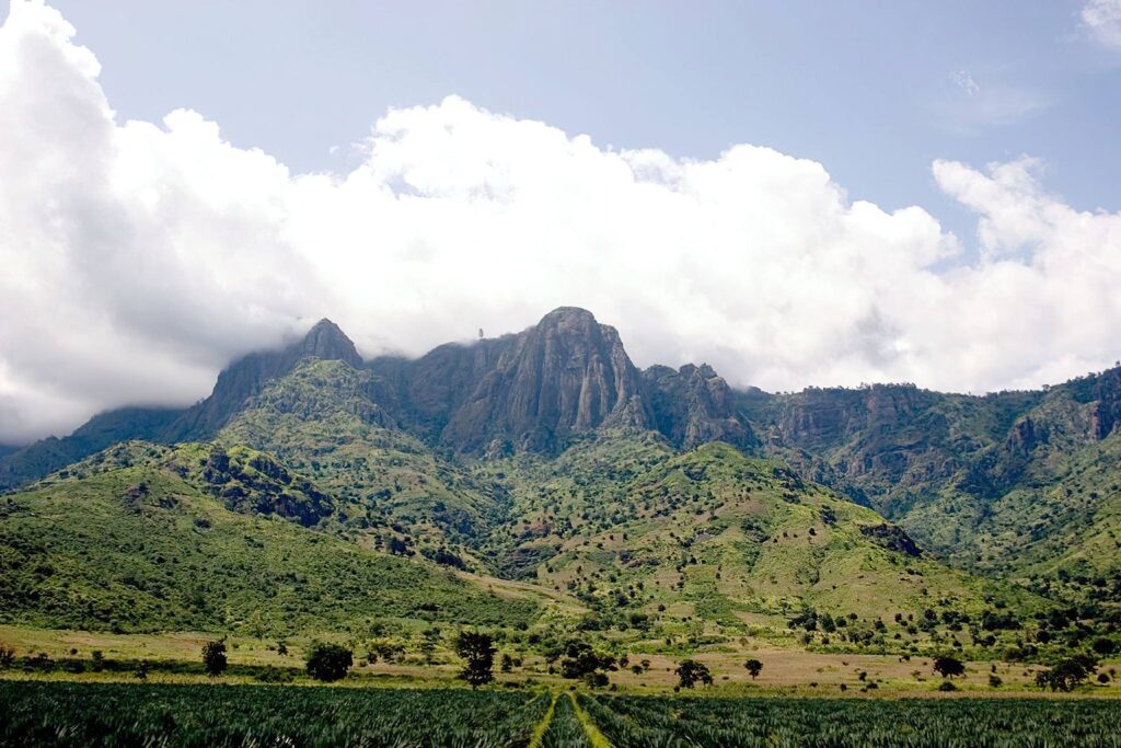Pare Mountains - Real Tanzania Discovery Adventures